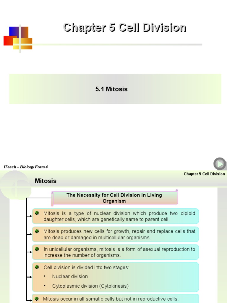 Chapter 5 Cell Division | PDF