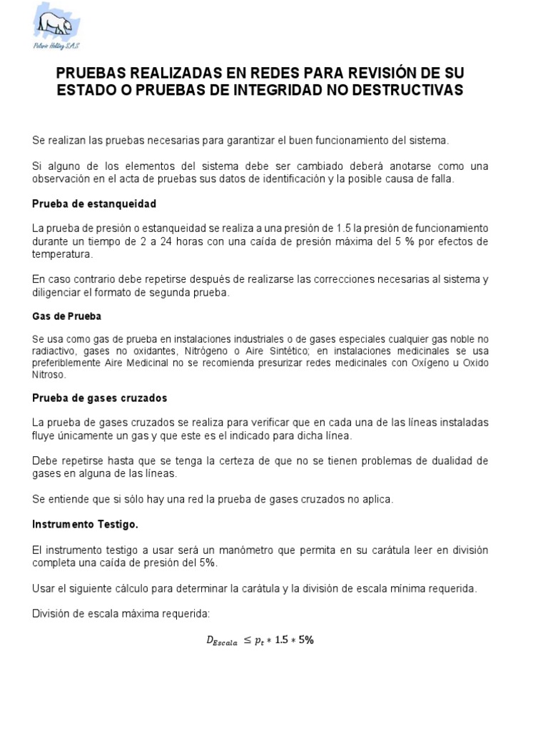 Protocolo Pruebas de Redes para Gases | PDF | Presión | Gases