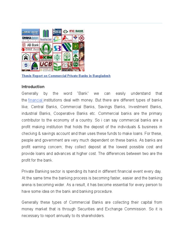 Report On Private Bank | PDF | Financial Statement | Banks