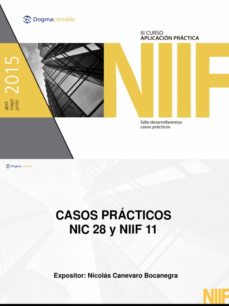 NIC 28 y NIIF 11 - NICOLAS CANEVARO | PDF | normas internacionales de ...