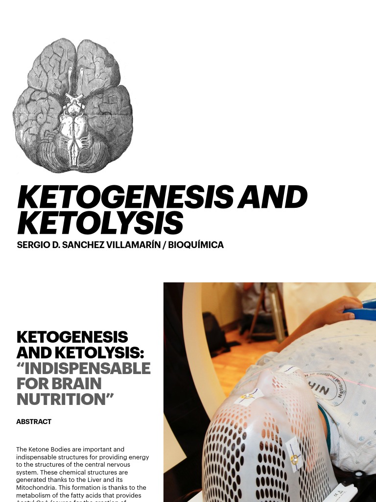 Ketogenesis and Ketolysis | PDF | Ketosis | Adenosine Triphosphate