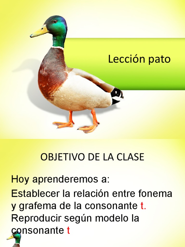 Leccion Pato 1 | PDF | El patito feo