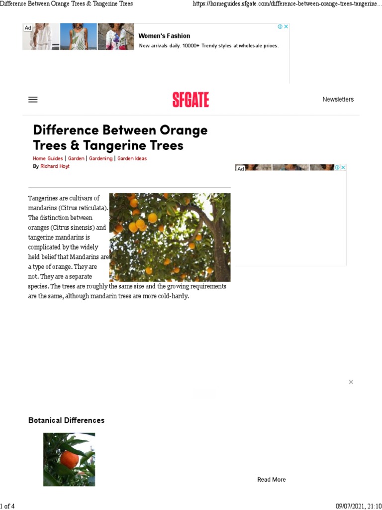 Difference Between Oranges and Tangerines | PDF | Orange (Fruit) | Citrus