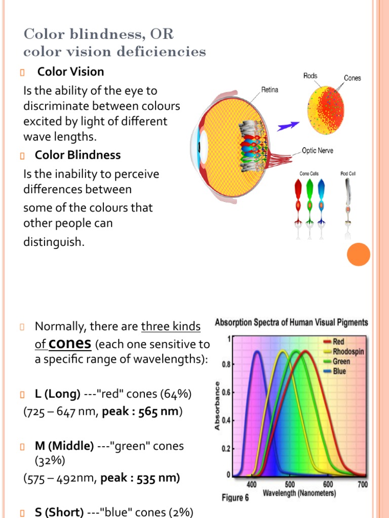 Color Blindness, OR Color Vision Deficiencies | PDF | Color | Graphic ...