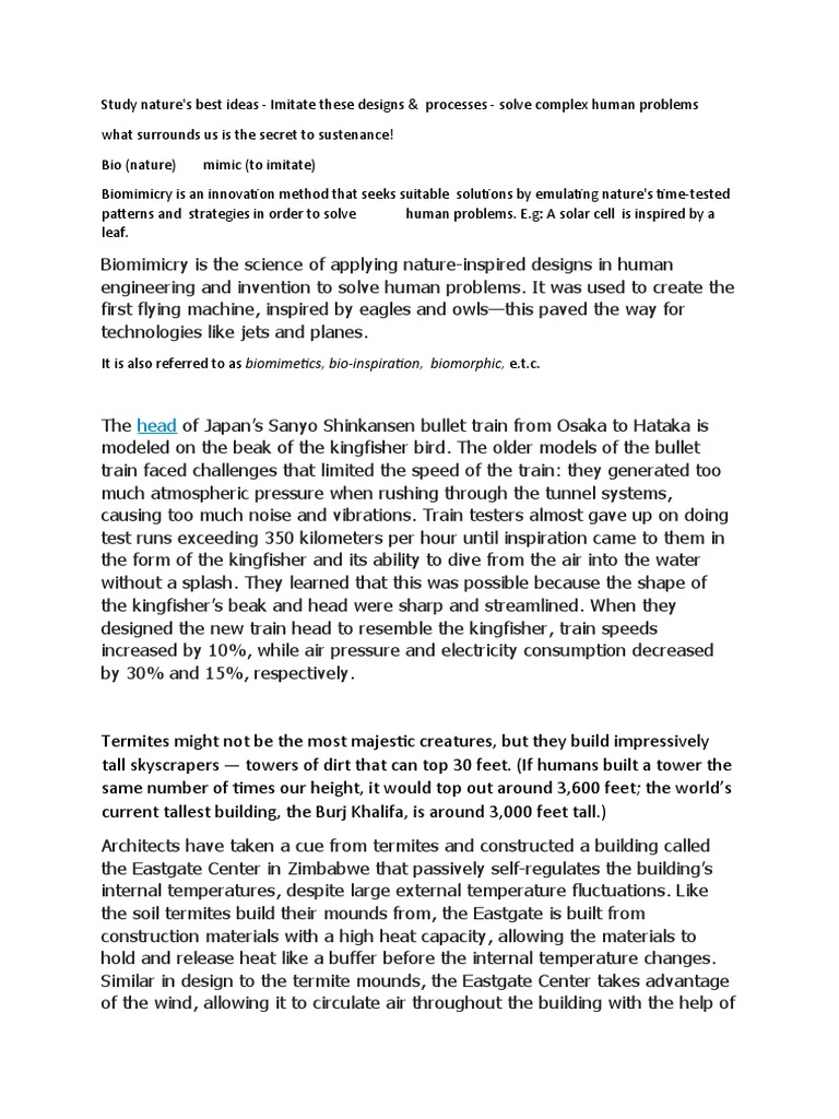 Script Bio Mimicry | PDF | Applied And Interdisciplinary Physics | Nature