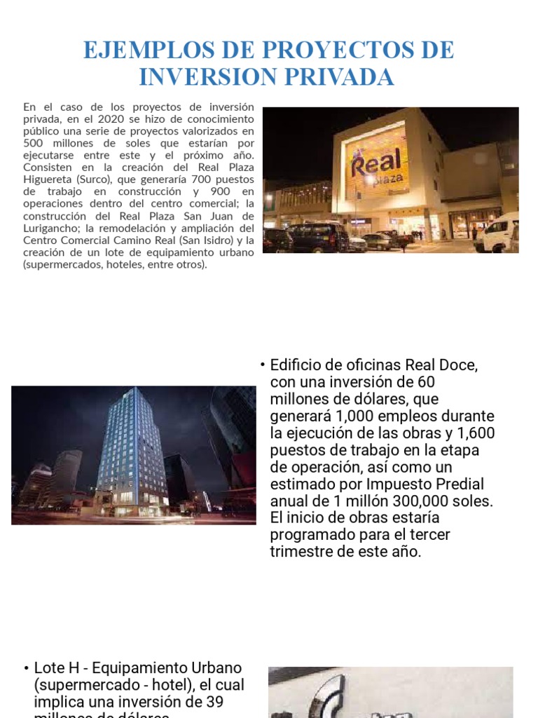 Ejemplos de Proyectos de Inversion Privada | PDF