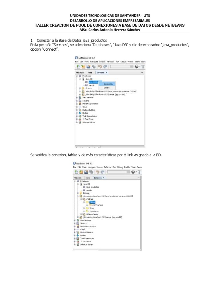 Pool de Conexiones A BD Por NetBeans | PDF | Plataformas de computación ...
