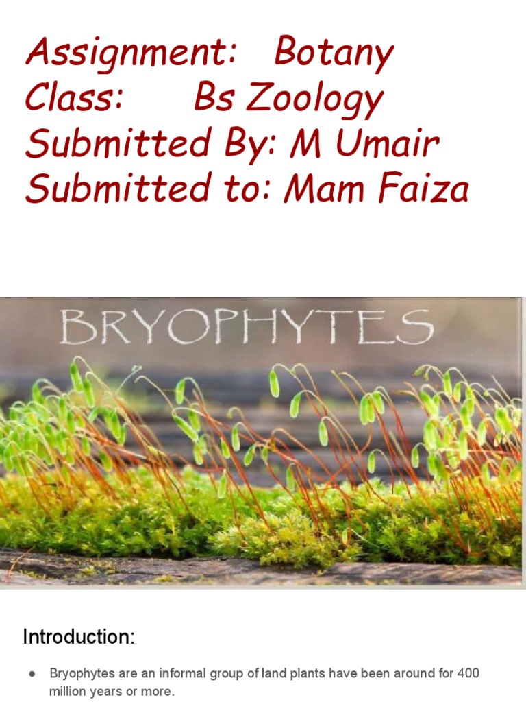 An In-Depth Look at Bryophytes: Their Characteristics, Types ...
