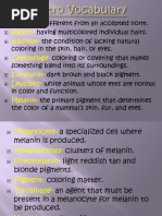 Animal Body Coverings Explained | PDF | Feather | Skin