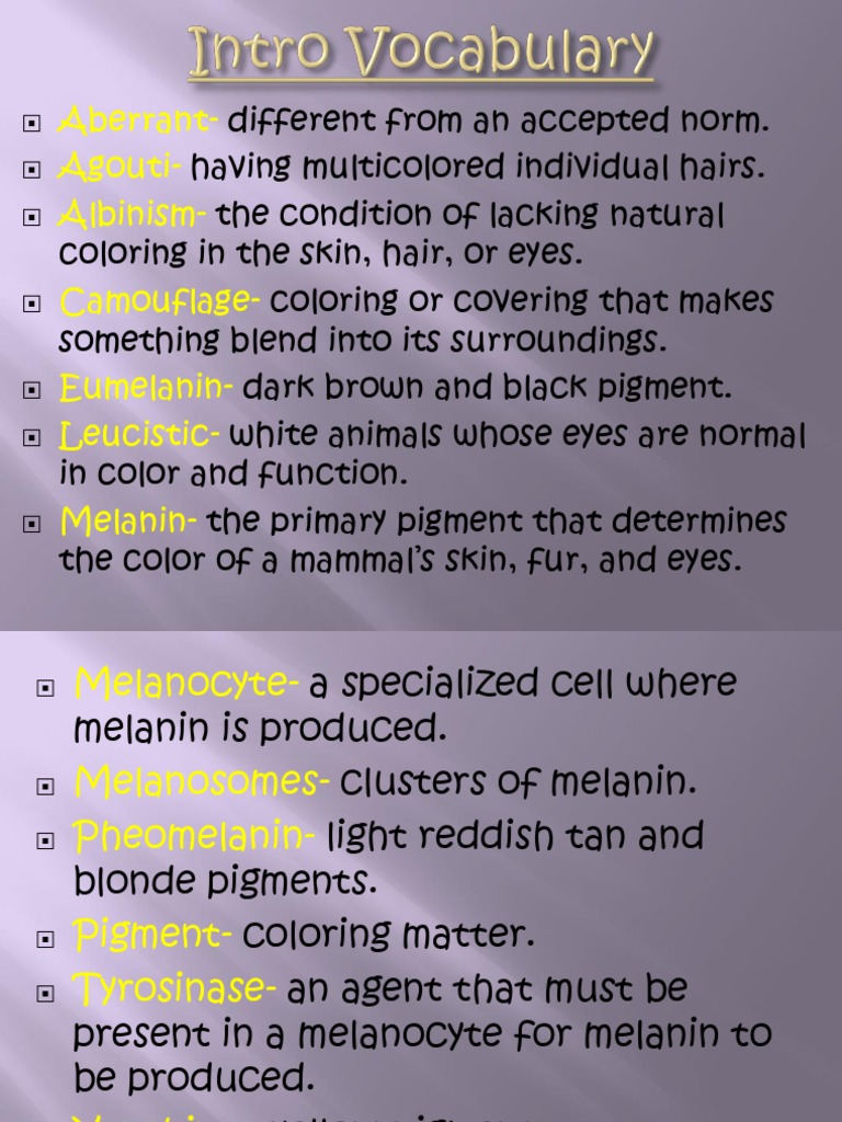 Integumentary System of Vertebrates | PDF | Skin | Integumentary System