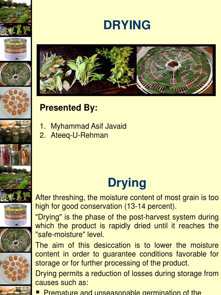 Drying | PDF | Humidity | Relative Humidity