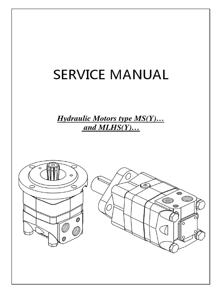 MS Service en | PDF | Valve | Bearing (Mechanical)
