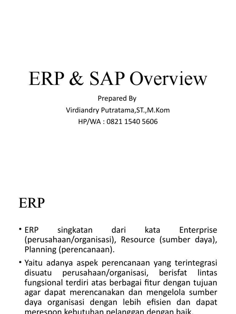 SAP Overview | PDF