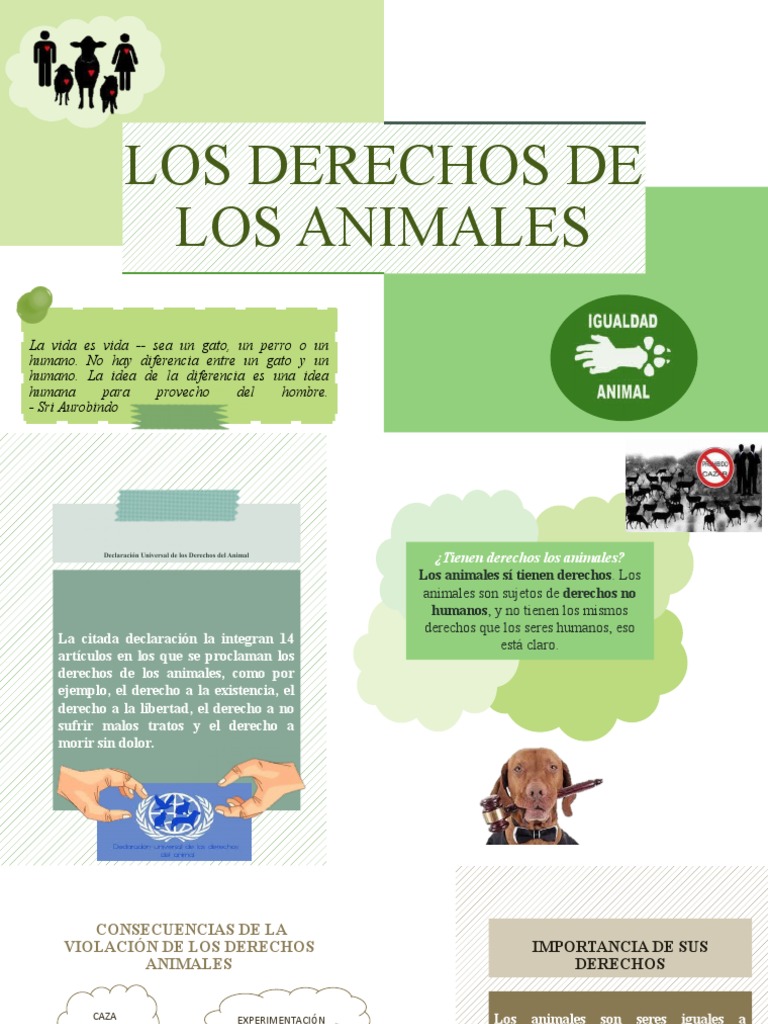 Los Derechos de Los Animales | PDF | Bienestar de los animales ...