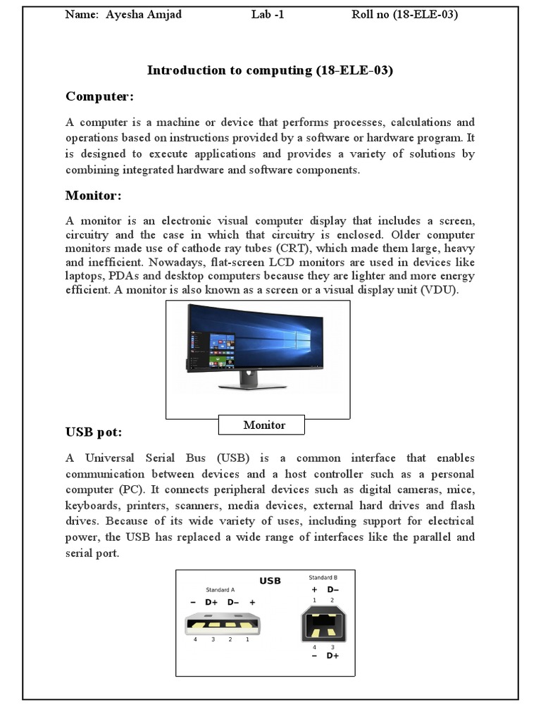 Introduction To Computing Assignment 1 | PDF | Computer Monitor ...