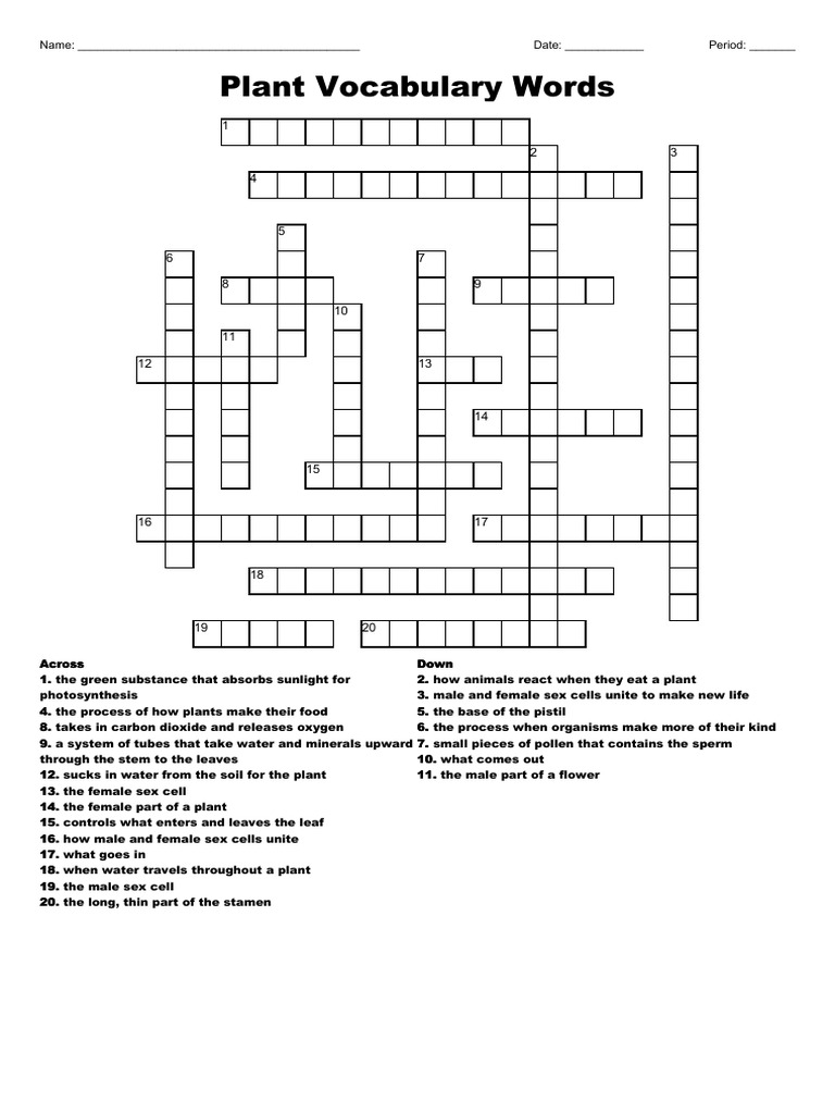 Plant Vocabulary Words (Crossword) | PDF | Science & Mathematics