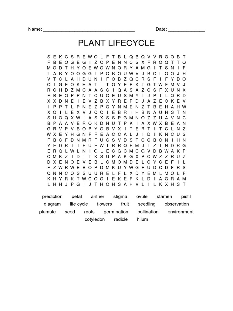 Plant Life Cycle (Word Search) | Download Free PDF | Seedling ...