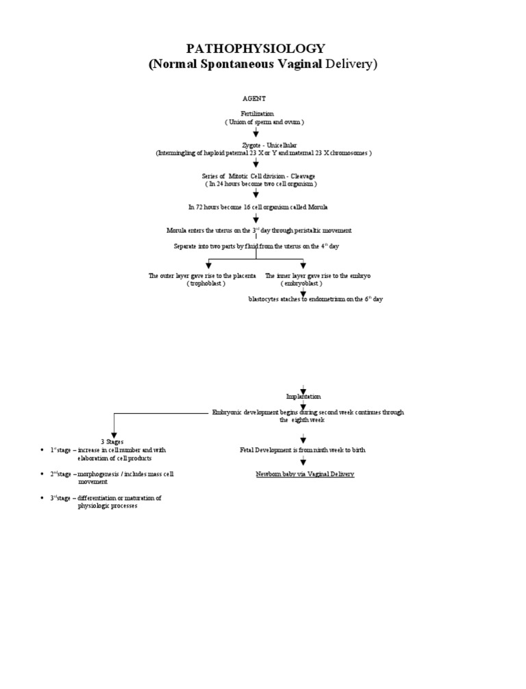 Pathophysiology of NSD | PDF