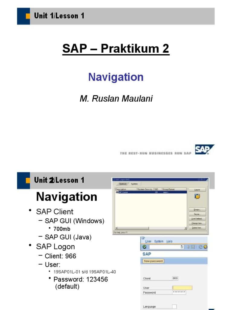 SAP - Navigation | PDF