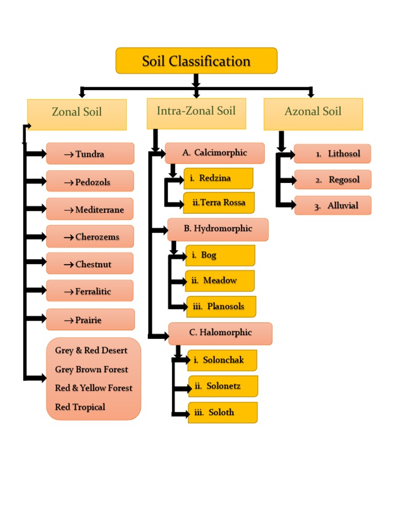 Soil Classification: Zonal Soil Azonal Soil Intra-Zonal Soil | PDF