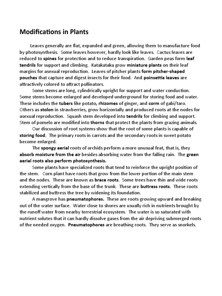 Modifications in Plants | PDF | Leaf | Root