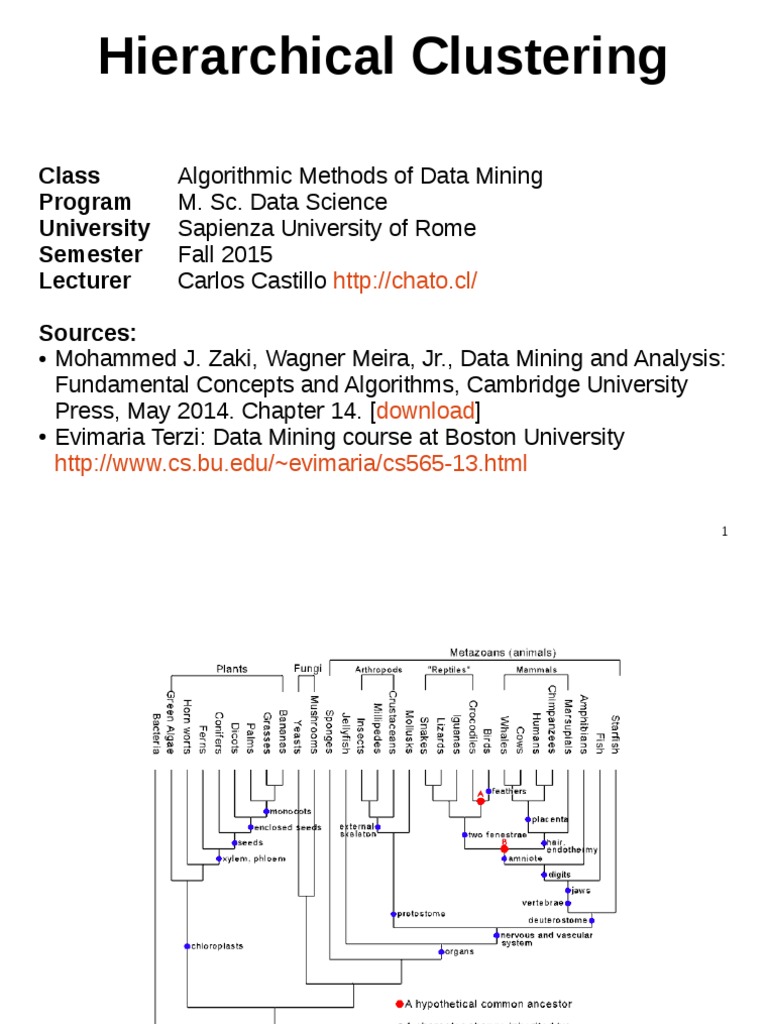 Hierarchical Clustering: Class Program University Semester Lecturer ...