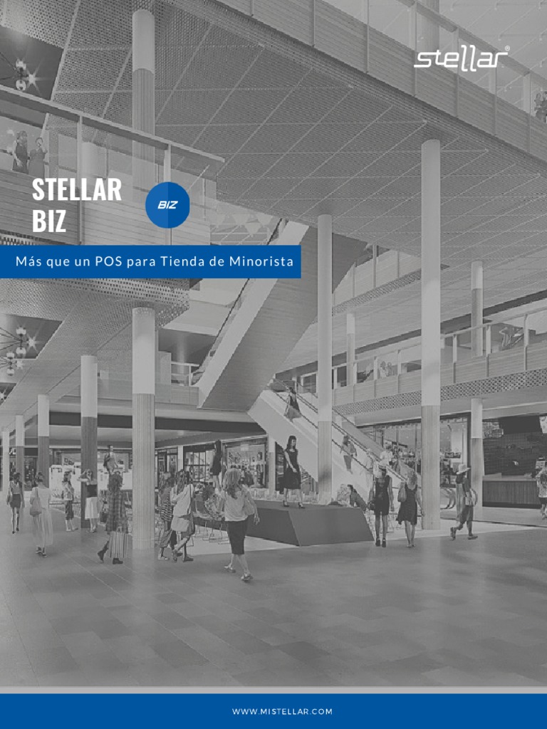 Sistema Stellar para Retail Integral | PDF | Bancos | Cliente