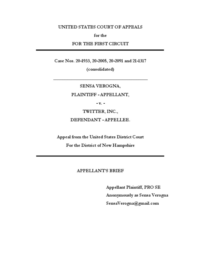Appellant's Brief | PDF | United States District Court | Appeal