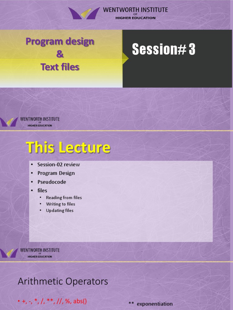 Program Design: & Text Files | PDF | Text File | Computer File
