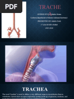 Tracheal Deviation Explained | PDF | Lung | Respiratory System
