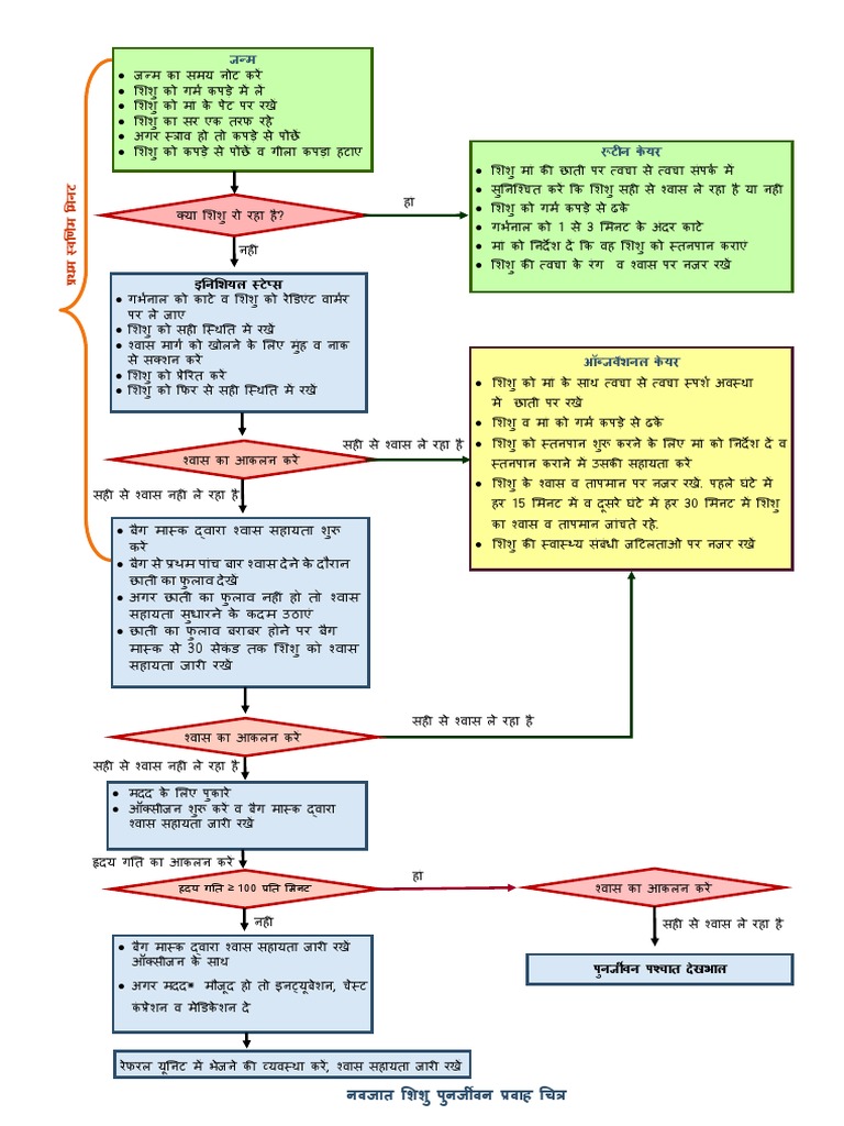 Basic NRP Hindi Algorithm Final 17-01-21 PDF | PDF