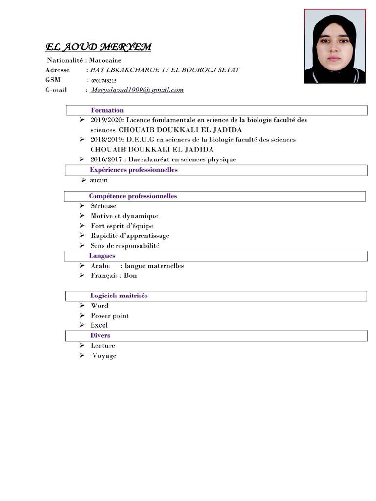 CV Meryem El Aoud | PDF