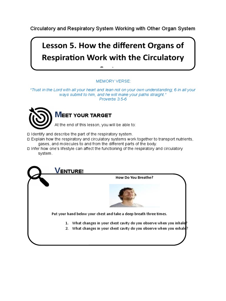 Module 9 Lesson 5 | PDF | Respiratory Tract | Lung