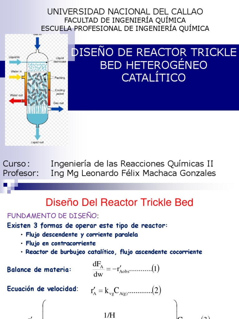Diseño de Reactor Trickle Bed 2020a | PDF | Reactor Quimico | Catálisis