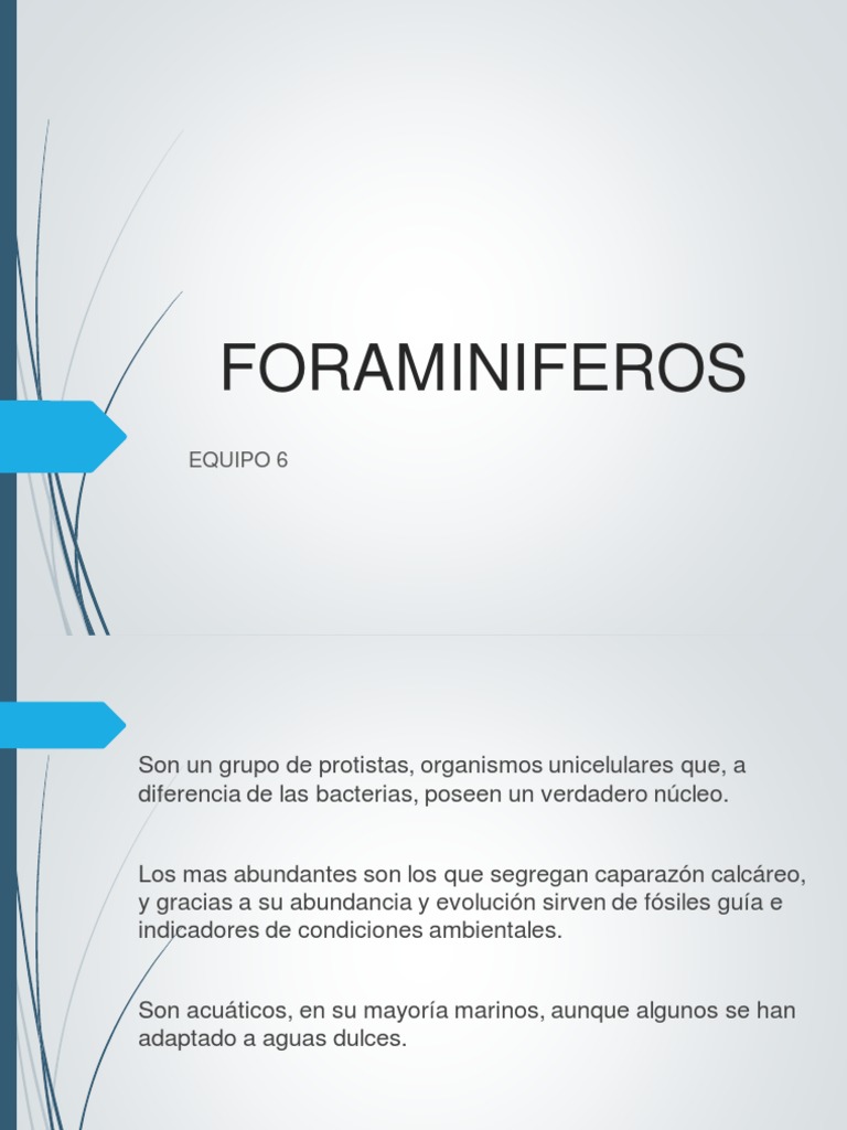 Forams | PDF | Taxa | Organismos
