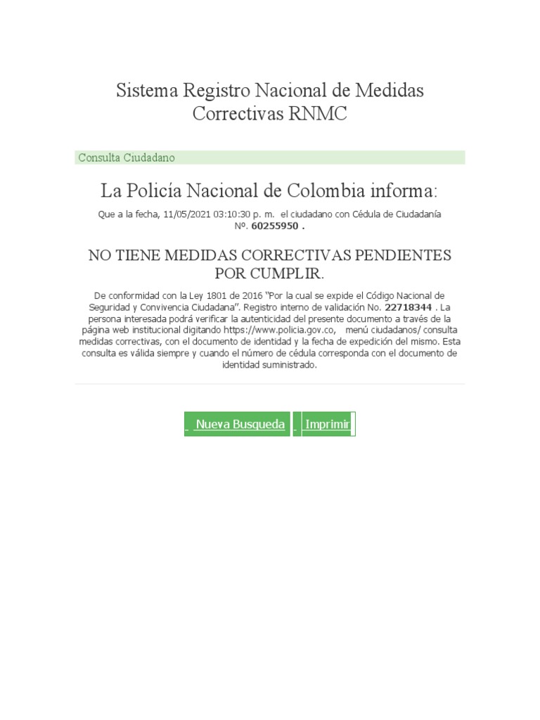 Sistema Registro Nacional de Medidas Correctivas RNMC | PDF