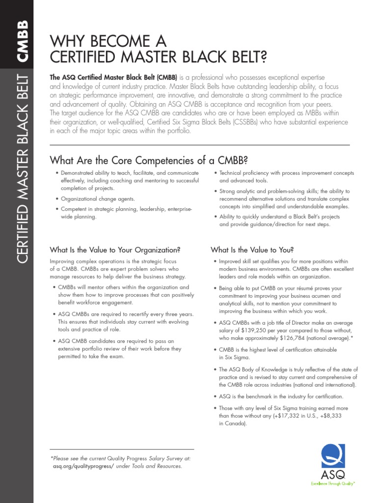Master Black Belt Certification Guide | PDF | Six Sigma | Mentorship
