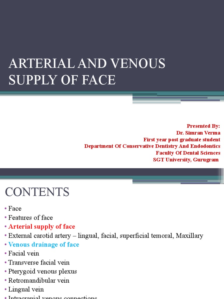 Arterial Supply of the Face Explained | PDF | Common Carotid Artery ...