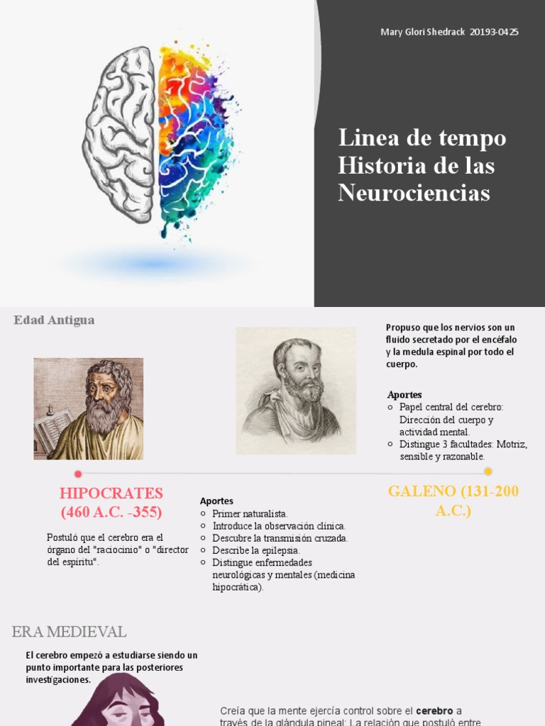 La Historia de La Neurociencia Hasta La Época Actual | PDF | Cerebro | Neurona