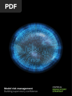 The EY Model Risk Management Framework Client Discussion Deck | PDF | Risk | Life Cycle Assessment