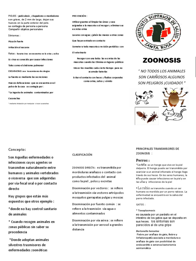 Triptico Zoonosis | PDF | Gatos | Infección
