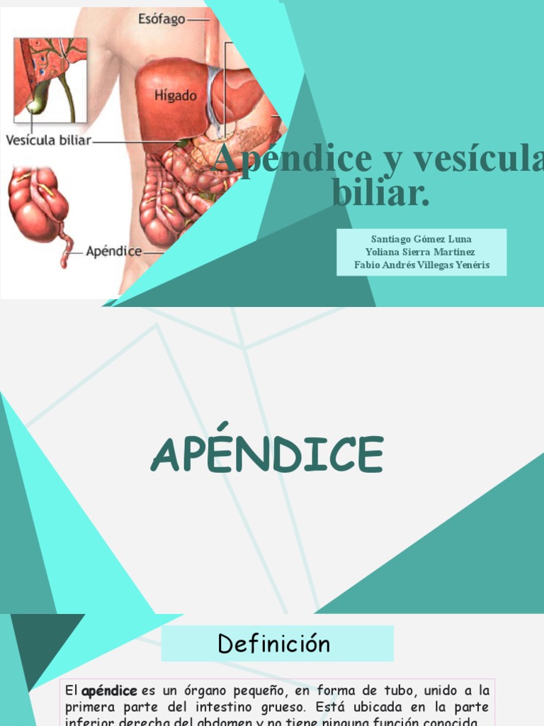 Anatomía, fisiopatología y tratamiento de la apendicitis | PDF ...
