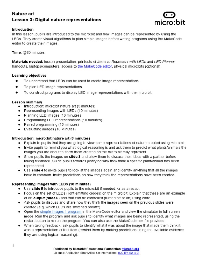 Nature Art Lesson 3: Digital Nature Representations: The Makecode ...