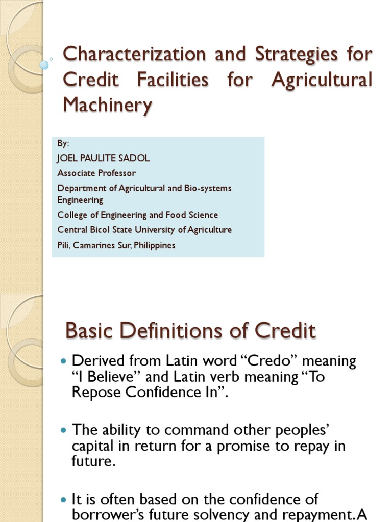 An Analysis of Credit Assessment Strategies and Facilities for ...