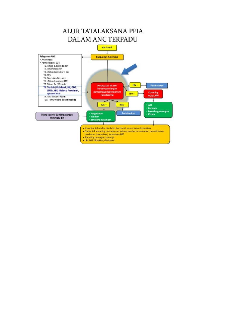 Alur Pelayanan Anc Terpadu 1 | PDF