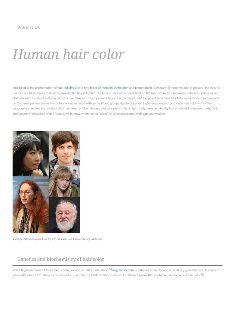 Human Hair Color | PDF | Hair Color | Human Head And Neck