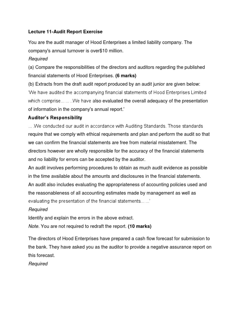 Lecture 11-Audit Report Exercise | PDF
