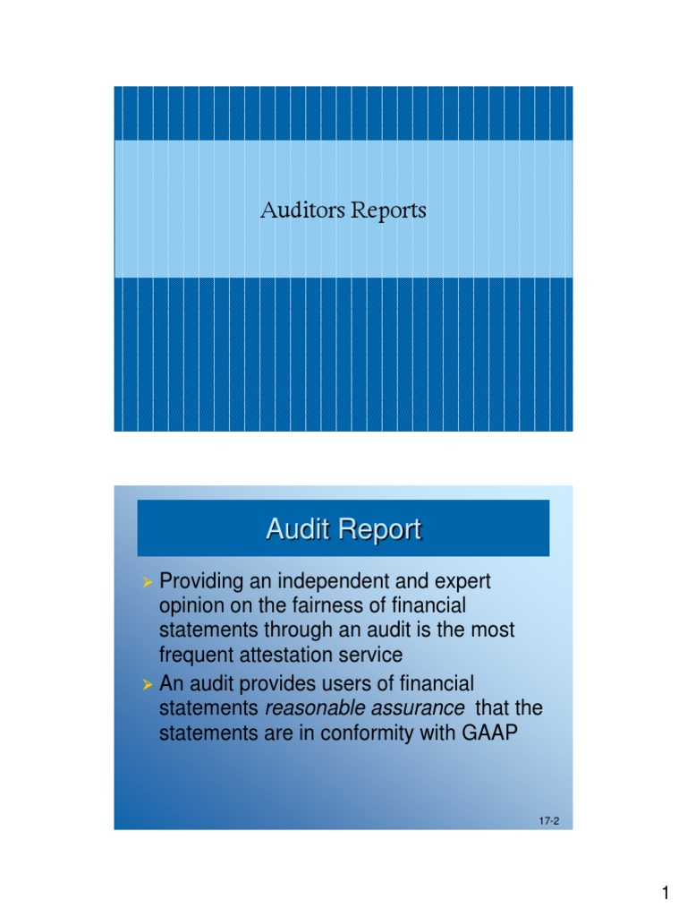 Audit Report: Auditors Reports | PDF | Financial Audit | Auditor's Report