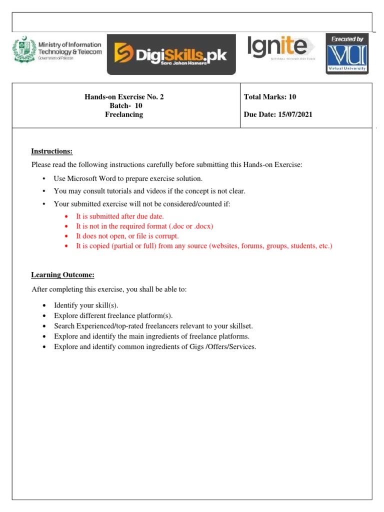 Digi Skills Freelancing Exer | Microsoft Word | Cyberspace