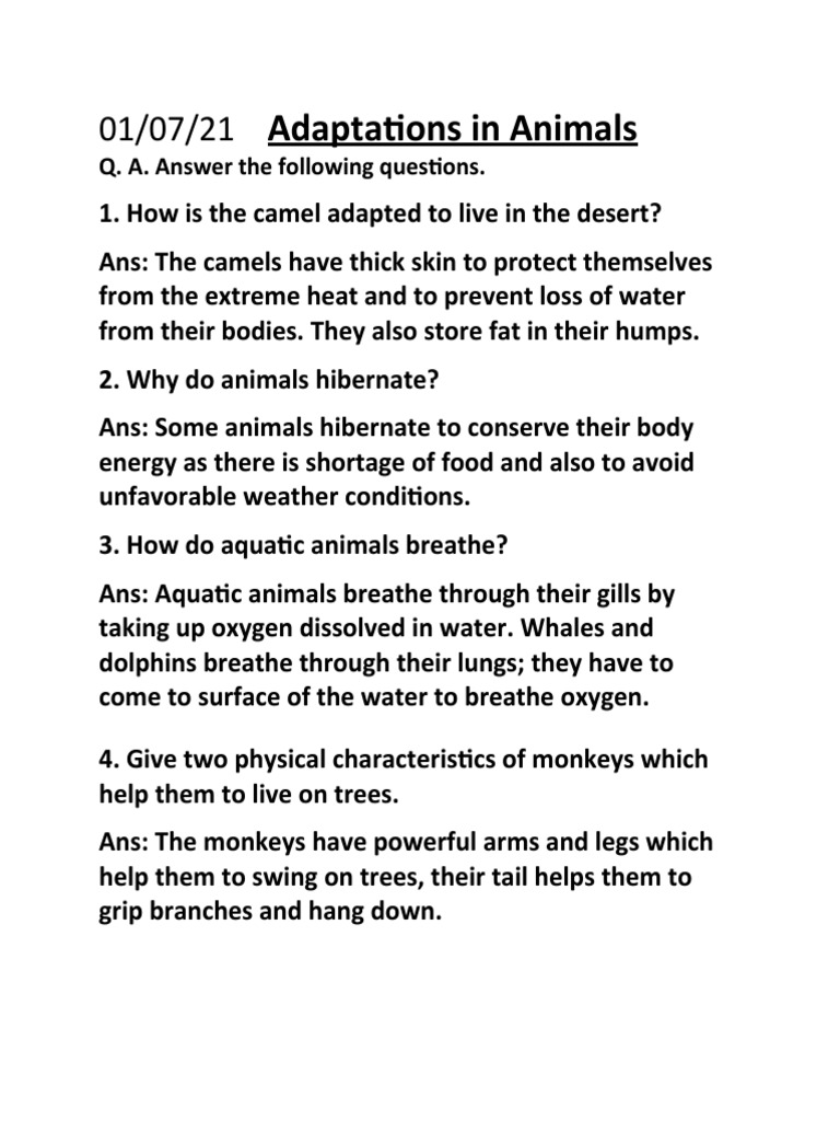 Class 4 Q AnsAdaptations in Animals | PDF